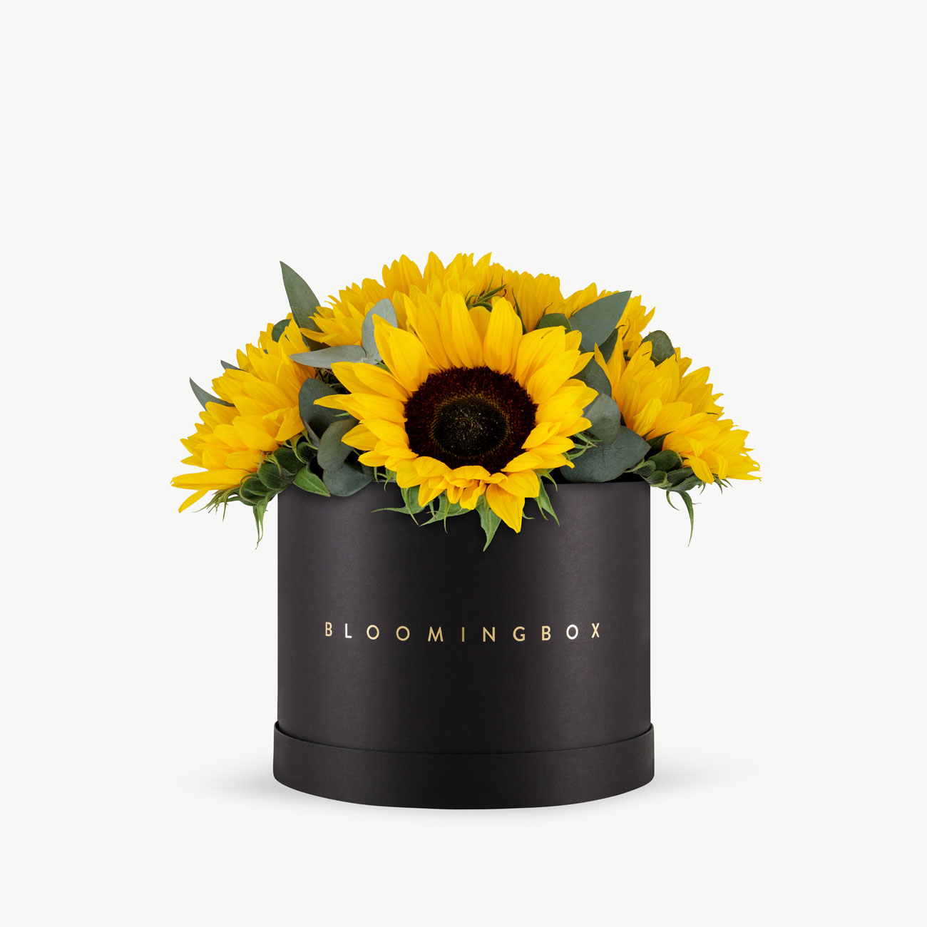 Mercedes-Benz Delivery | Same Day Mercedes-Benz Delivery in Dubai