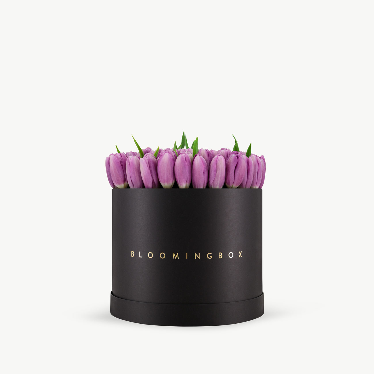 Newborn Delivery | Same Day Newborn Delivery in Dubai