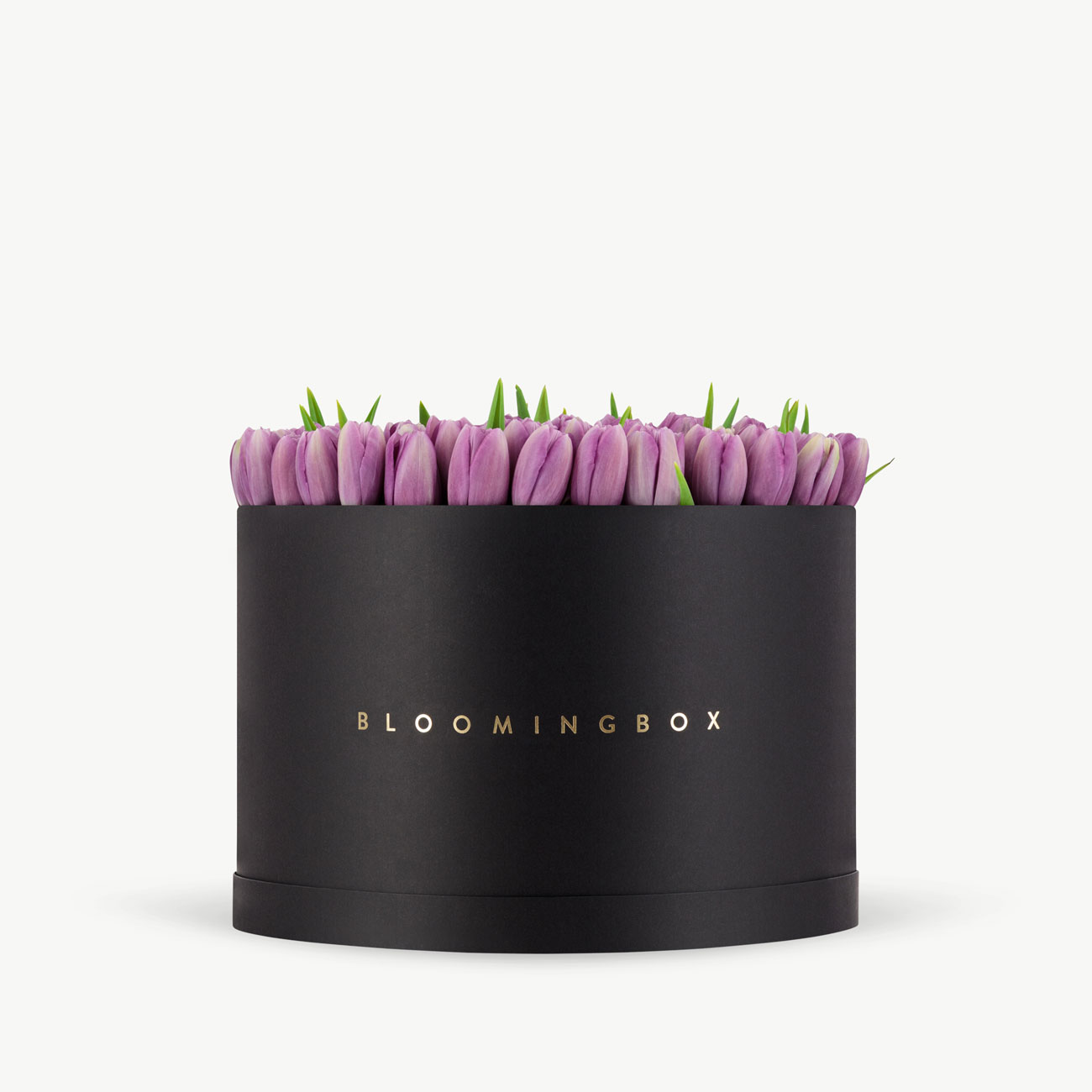 Newborn Delivery | Same Day Newborn Delivery in Dubai