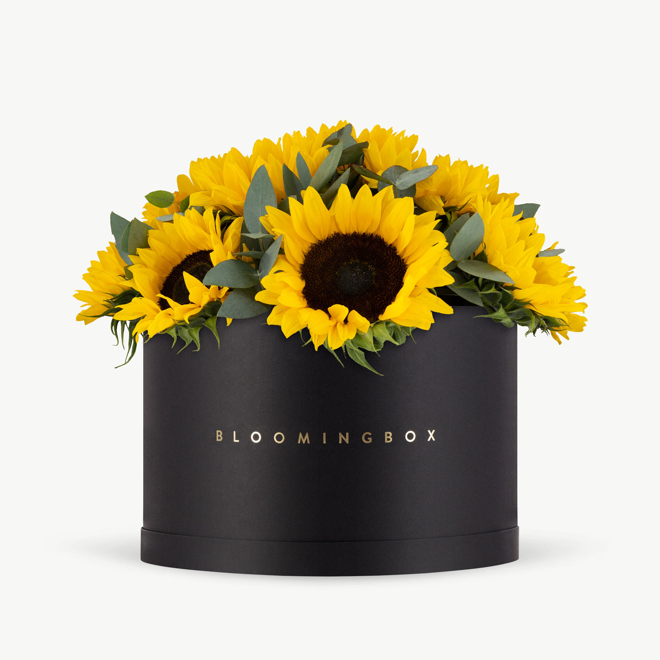 Mercedes-Benz Delivery | Same Day Mercedes-Benz Delivery in Dubai