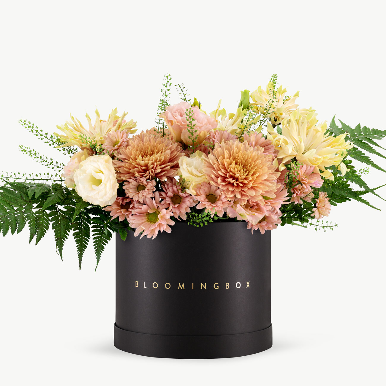 Cannes Box Large - Same Day Delivery