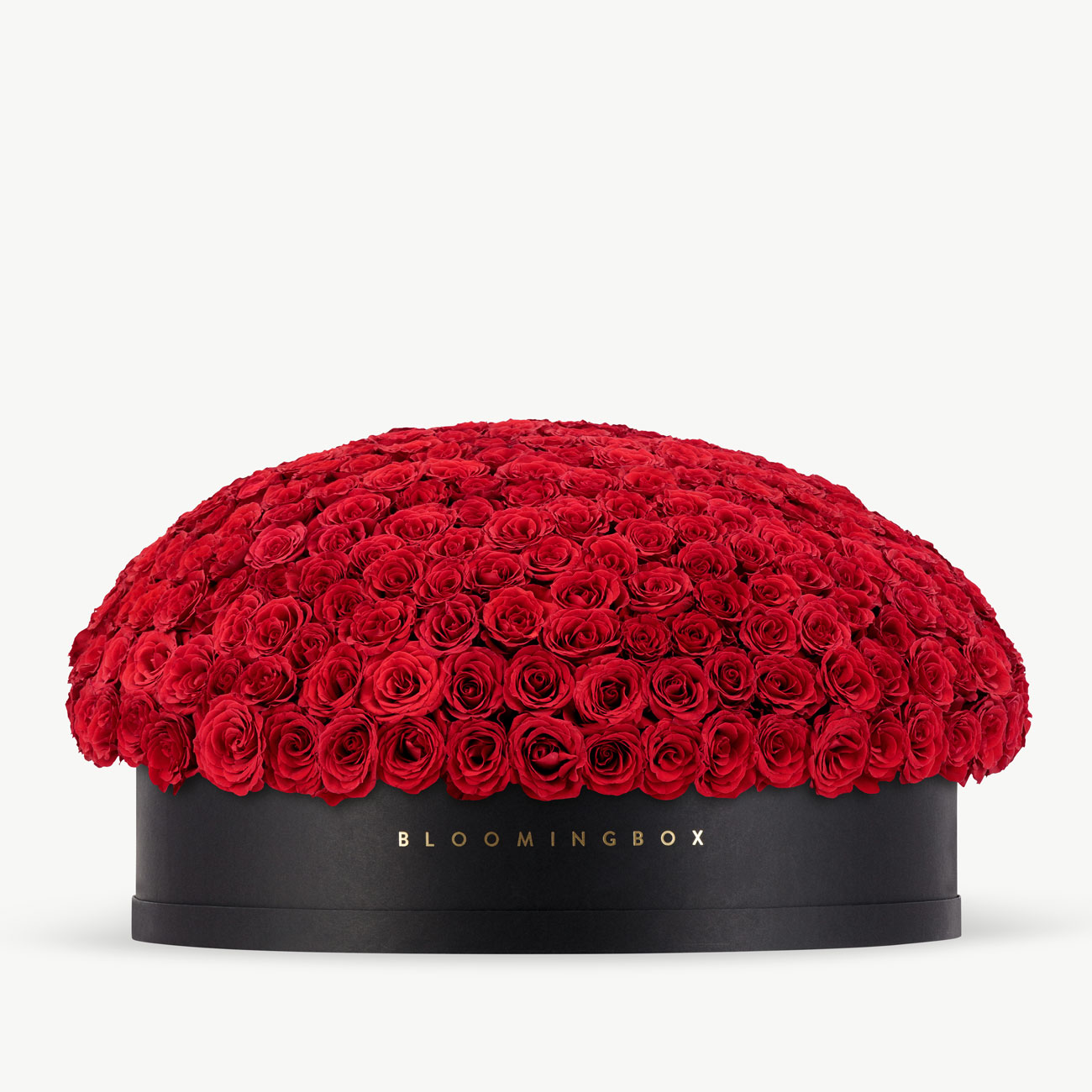 Rose Box Mega - Same Day Delivery