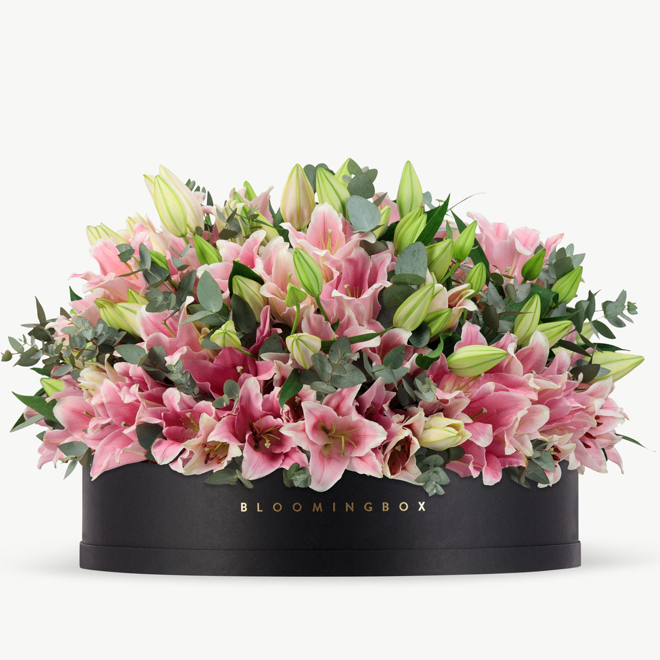 Newborn Delivery | Same Day Newborn Delivery in Dubai