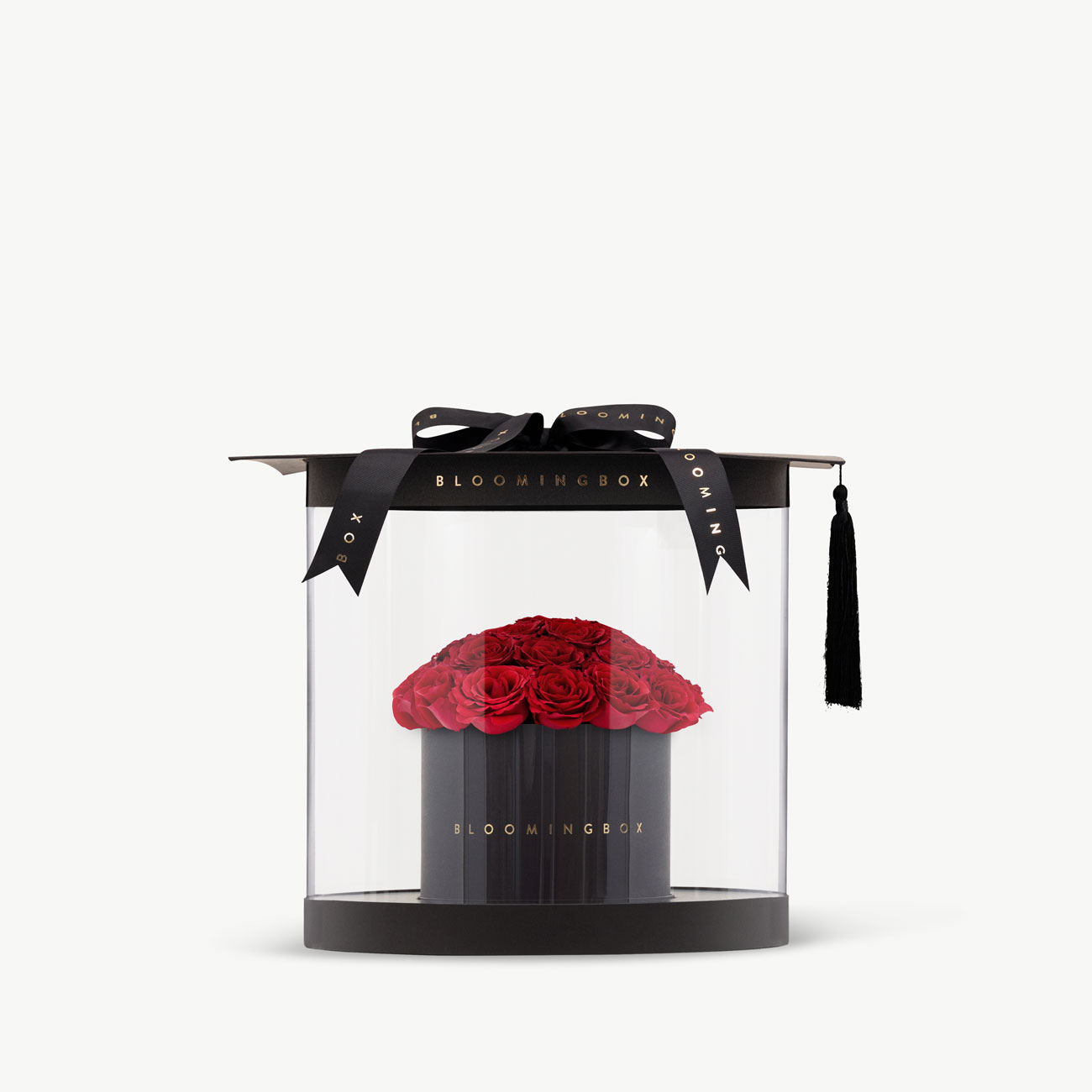 Graduation Premium Rose Box - Same Day Delivery