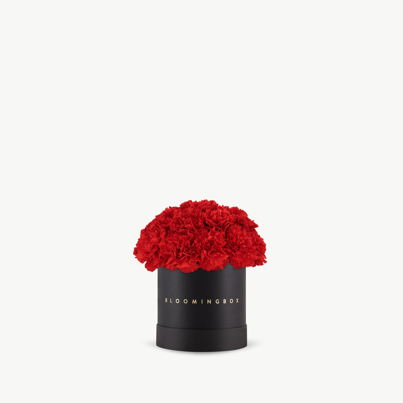 Carnation Box Small - Same Day Delivery