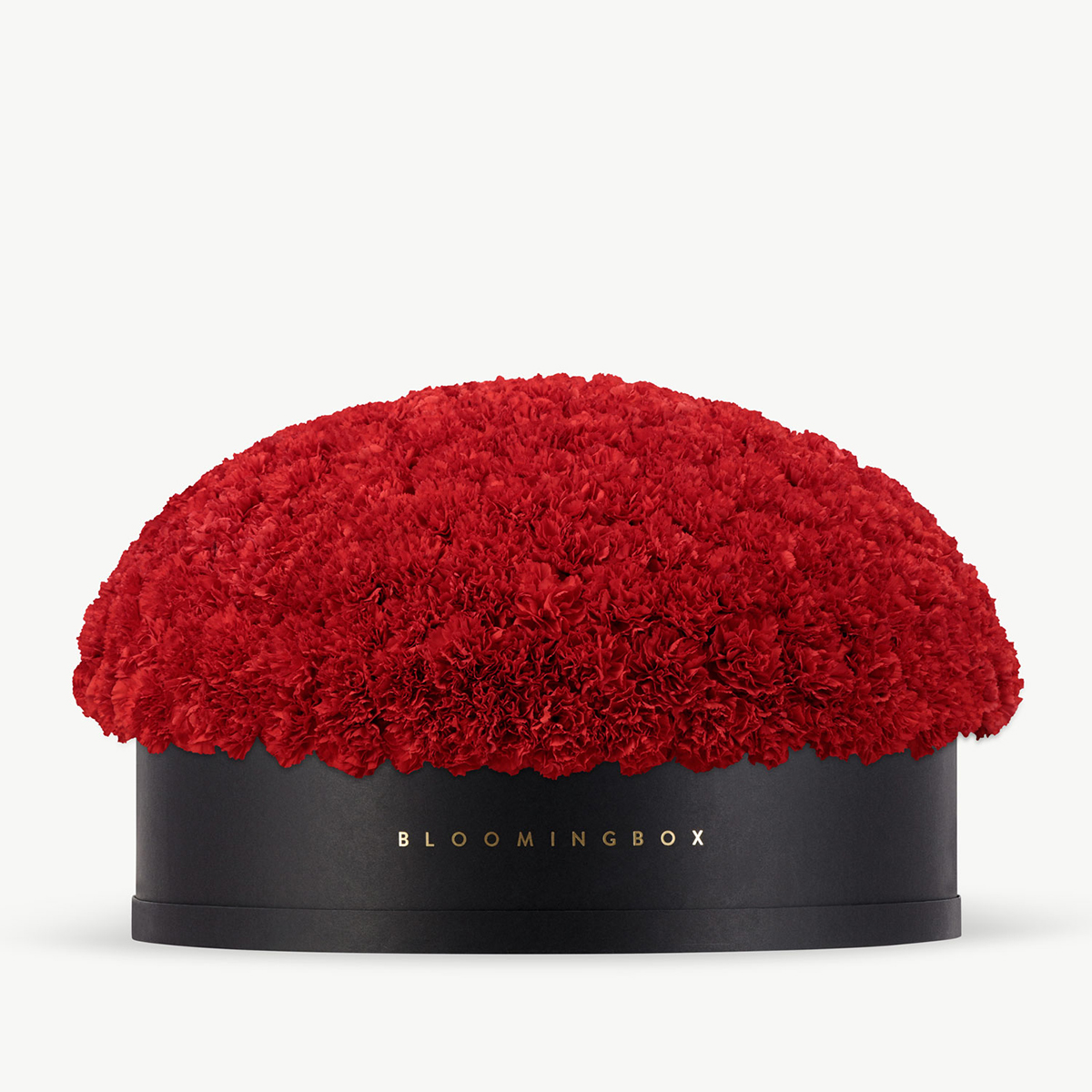 Carnation Box Mega - Same Day Delivery