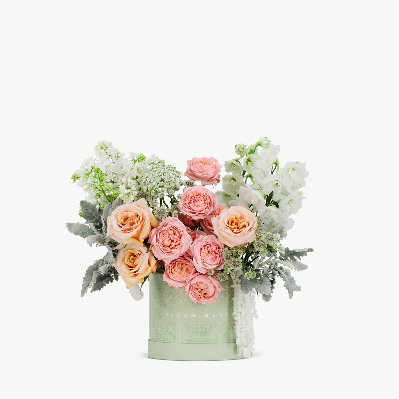 Medium Ommi Assortment - Same Day Delivery