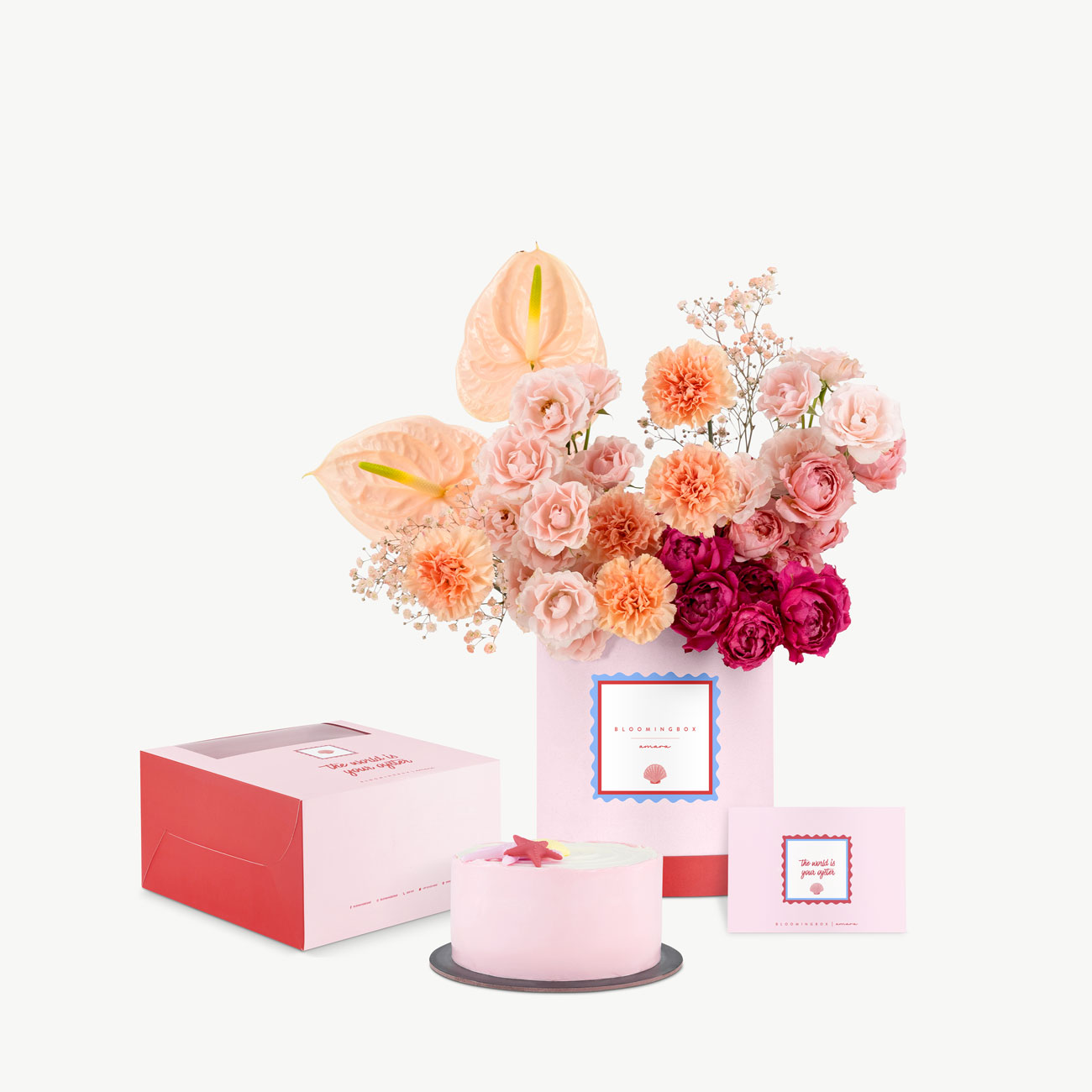 Assortment & Cake - Same Day Delivery
